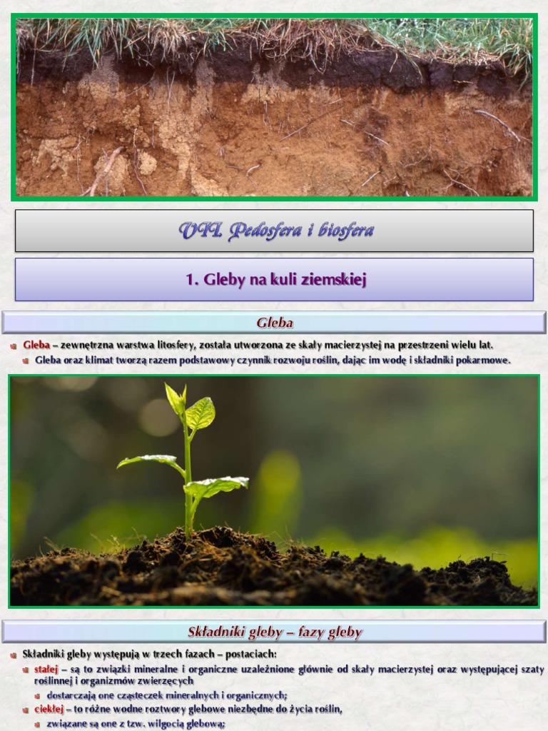 Gleby Na Kuli Ziemskiej | PDF