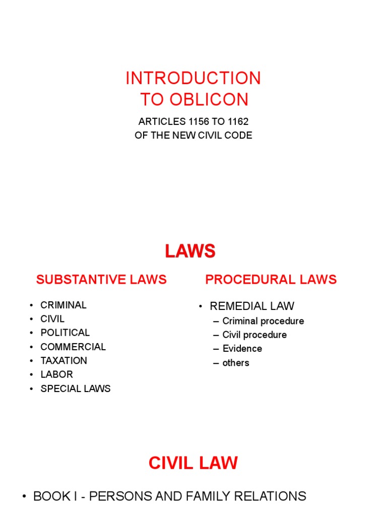 Business Law Lesson 1 | PDF | Law Of Obligations | Government
