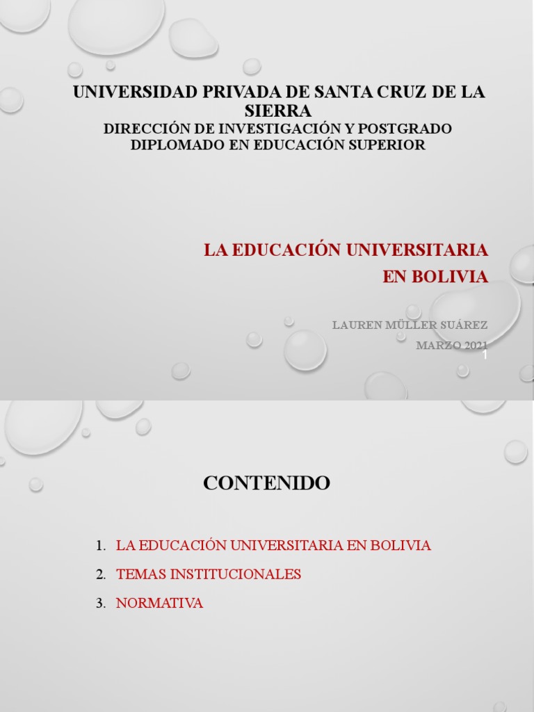 DES. La Educación Superior Universitaria en Bolivia. 20 de Marzo 2021 | PDF