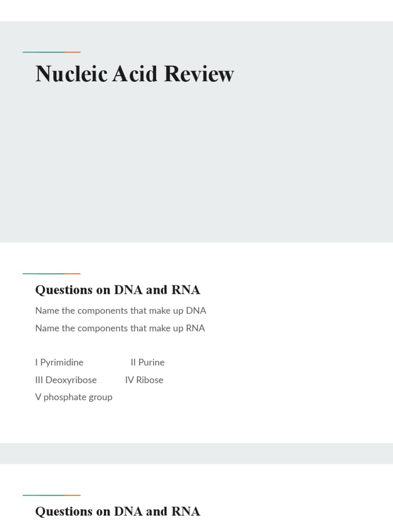 Nucleic Acid Review | PDF