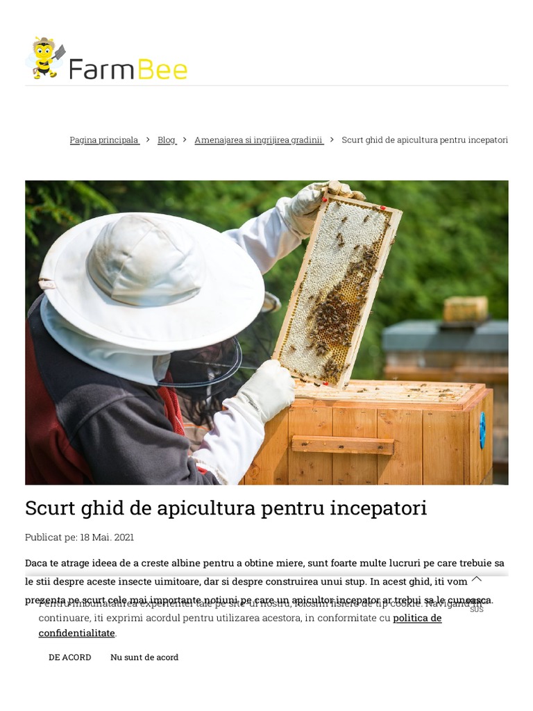 Scurt Ghid de Apicultura Pentru Incepatori - Farmbee | PDF