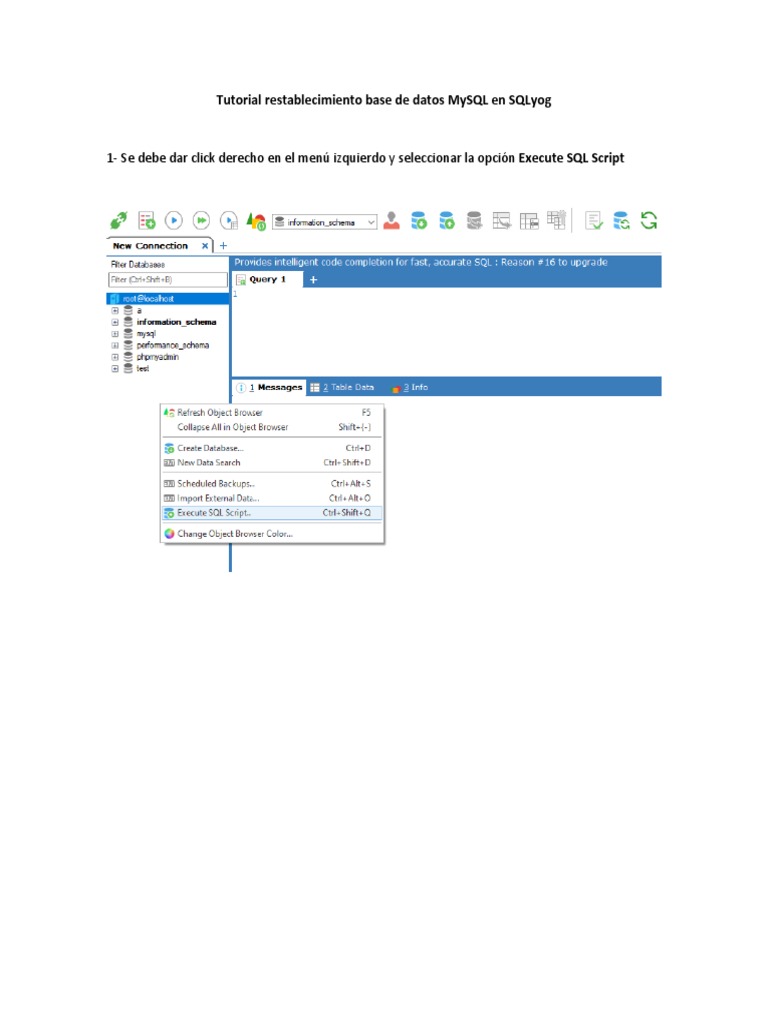 Procedimiento para Restablecimiento Base de Datos MySQL en SQLyog | PDF