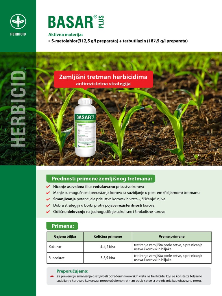 Prospekti Basar Plus | PDF