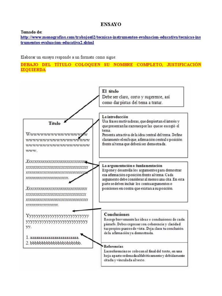 COMO Hacer Un Ensayo | PDF