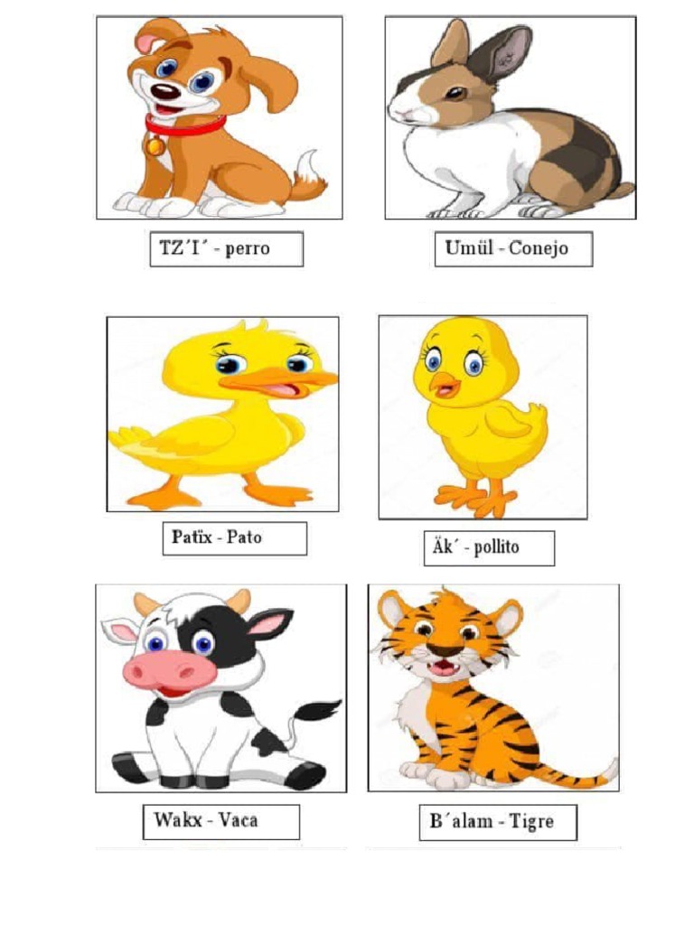 32 Imagenes en Kaqchikel | PDF