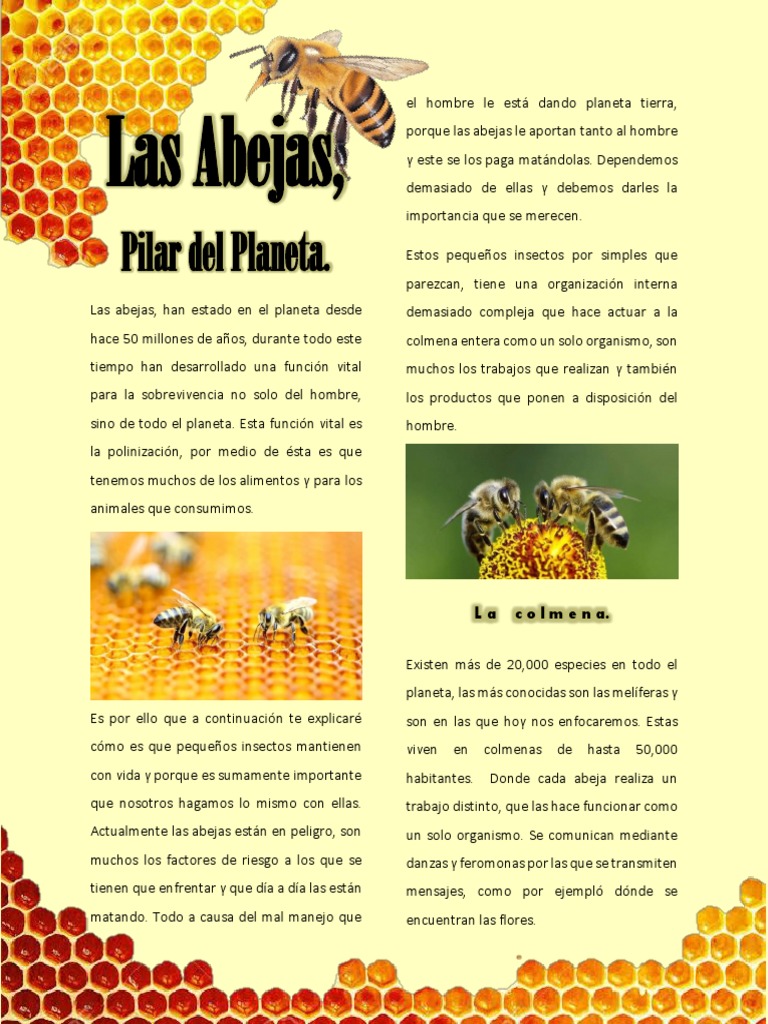 Las Abejas Articulo | PDF | Western Honey Bee | Colmena