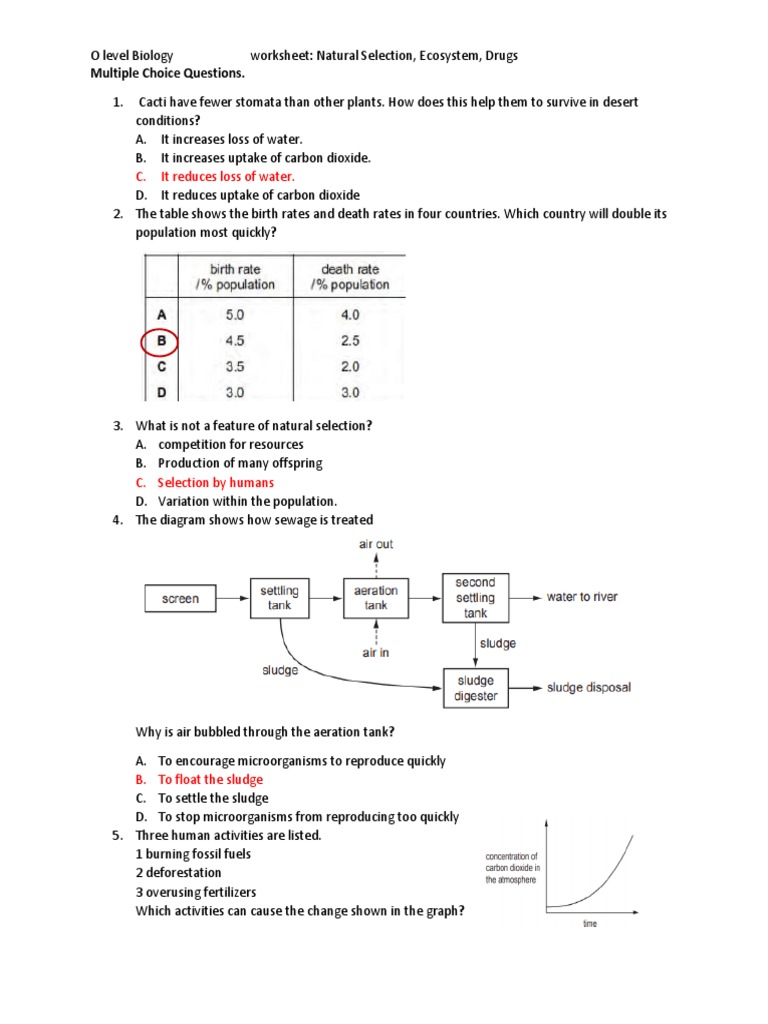OL Biology Worksheet Natural Selection, Drugs, Ecosystem MS. | PDF ...