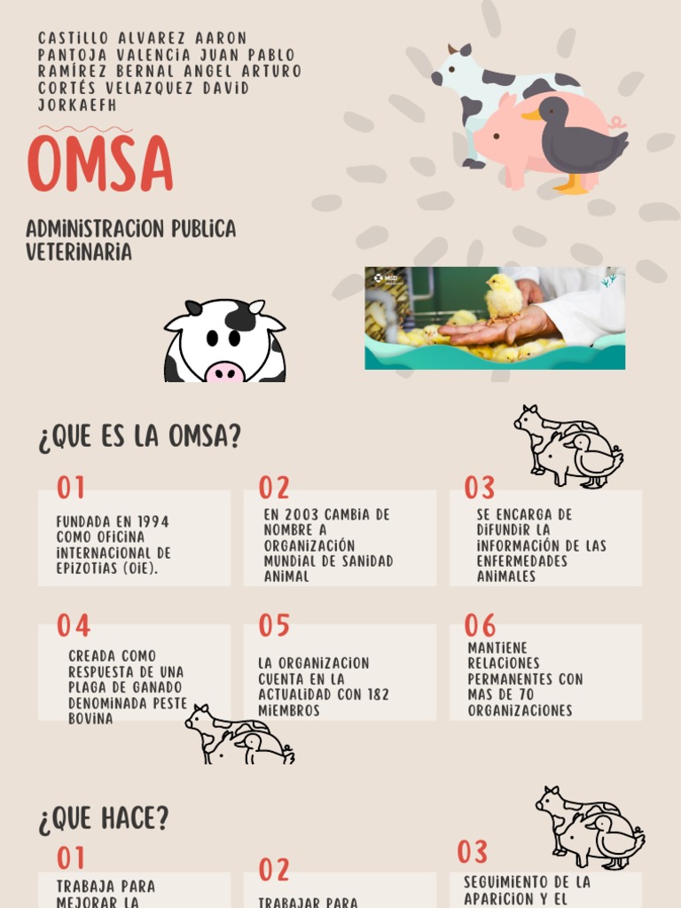 Diagrama de Organización de La OMSA. | PDF | Medicina Veterinaria ...