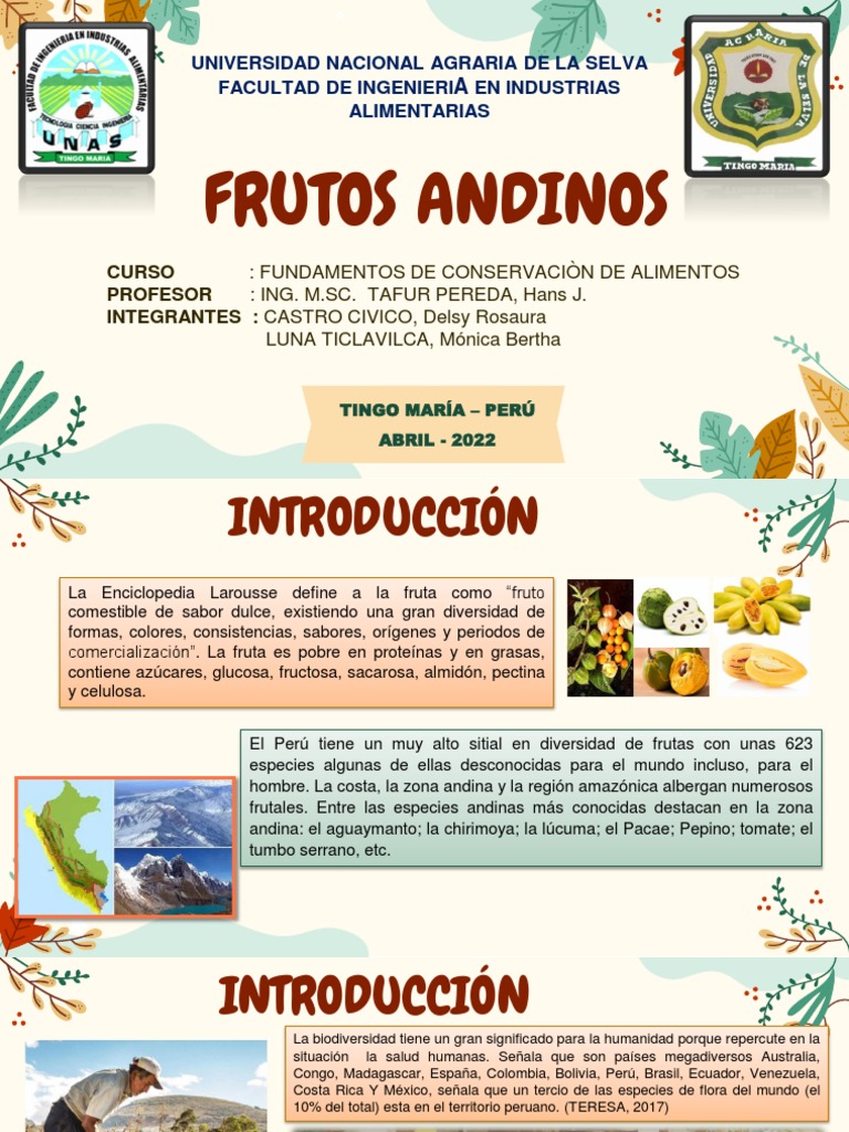 Frutas Andinas: Diversidad y Usos | PDF