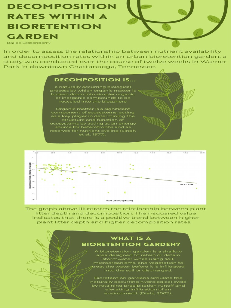 Infographic | PDF | Ecosystem | Soil
