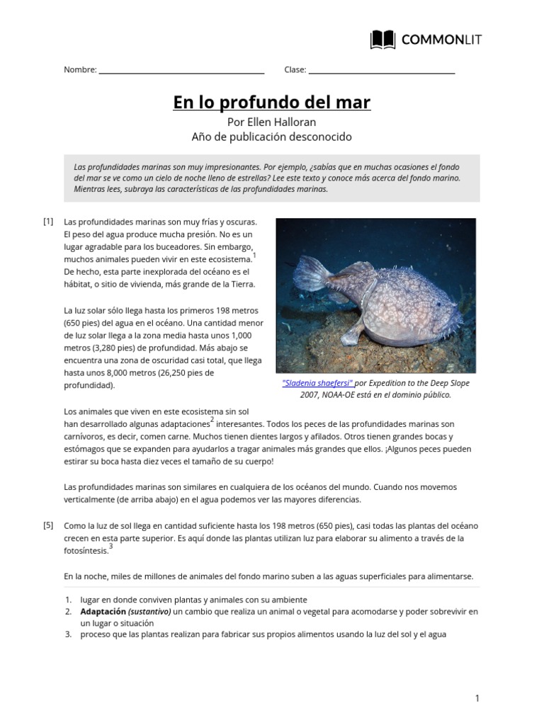 En Lo Profundo Del Mar | PDF | Mar | Pescado