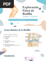 Exploración Clínica de la Rodilla | PDF | Rodilla | Anatomía humana
