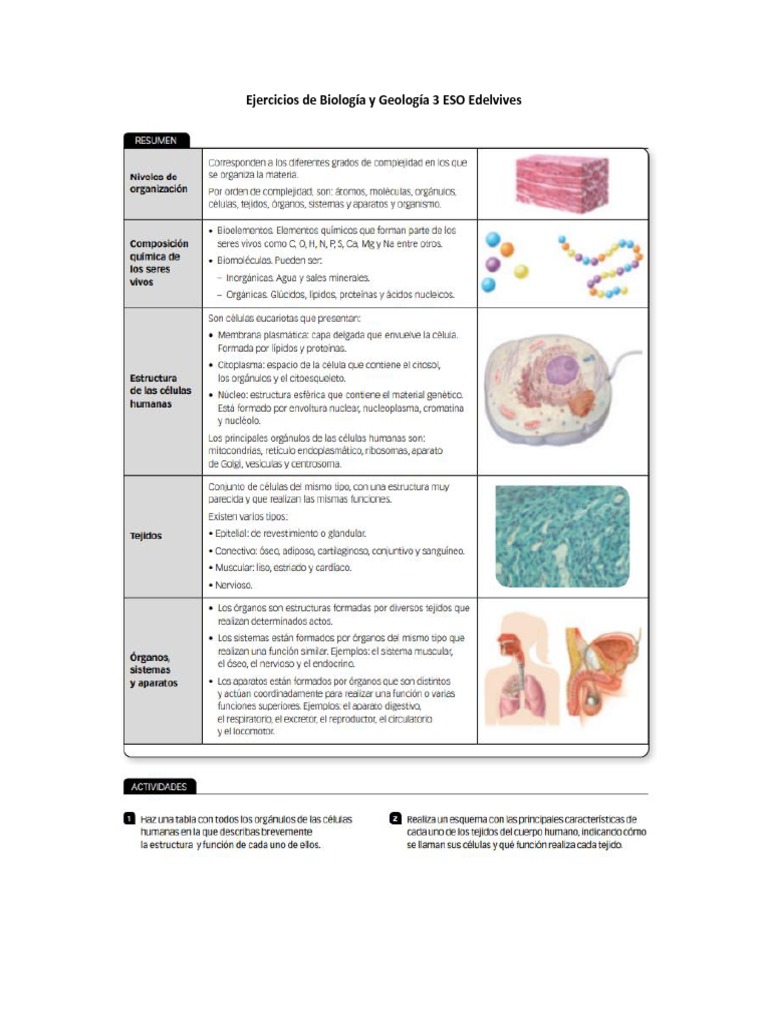 Ejercicios de Biología y Geología 3 ESO Edelvives | PDF