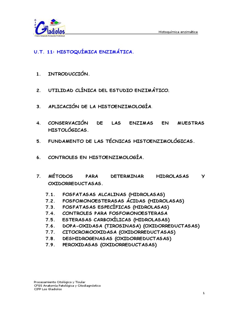 UT11. Histoquímica Enzimática | PDF | Enzima | Proteínas