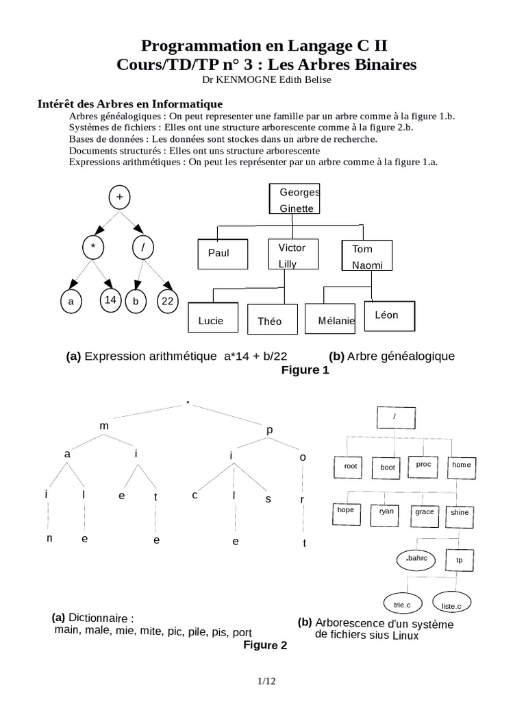 TD TP C GI1 S2 3 Les Arbres | PDF