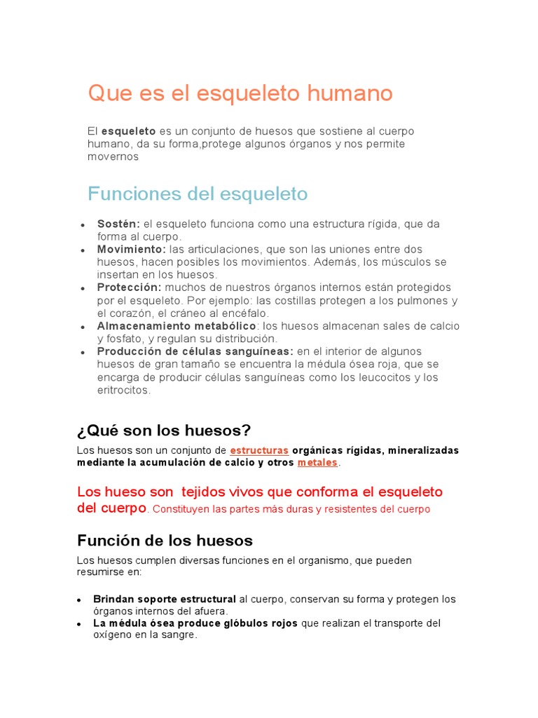 El Esqueleto Humano | PDF | Hueso | Esqueleto