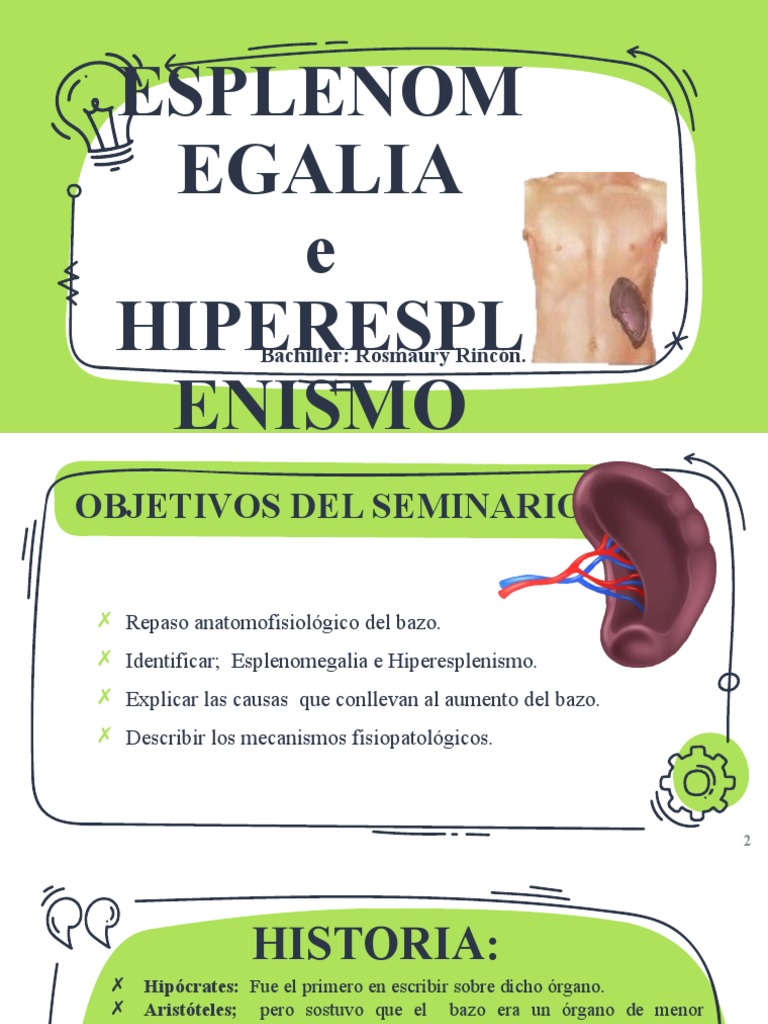 Esplenomegalia e Hiperesplenismo | PDF | Bazo | Anatomia animal