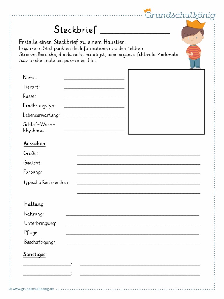 Steckbrief Haustier Blanko | PDF