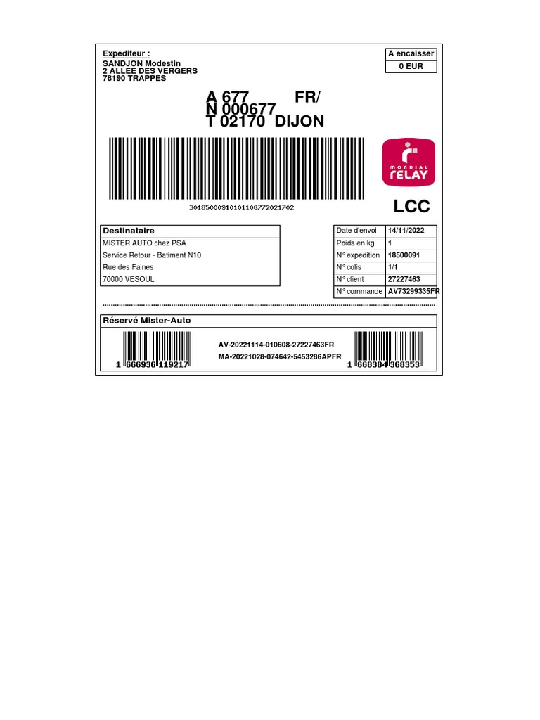 Label - AV 20221114 010608 27227463FR | PDF