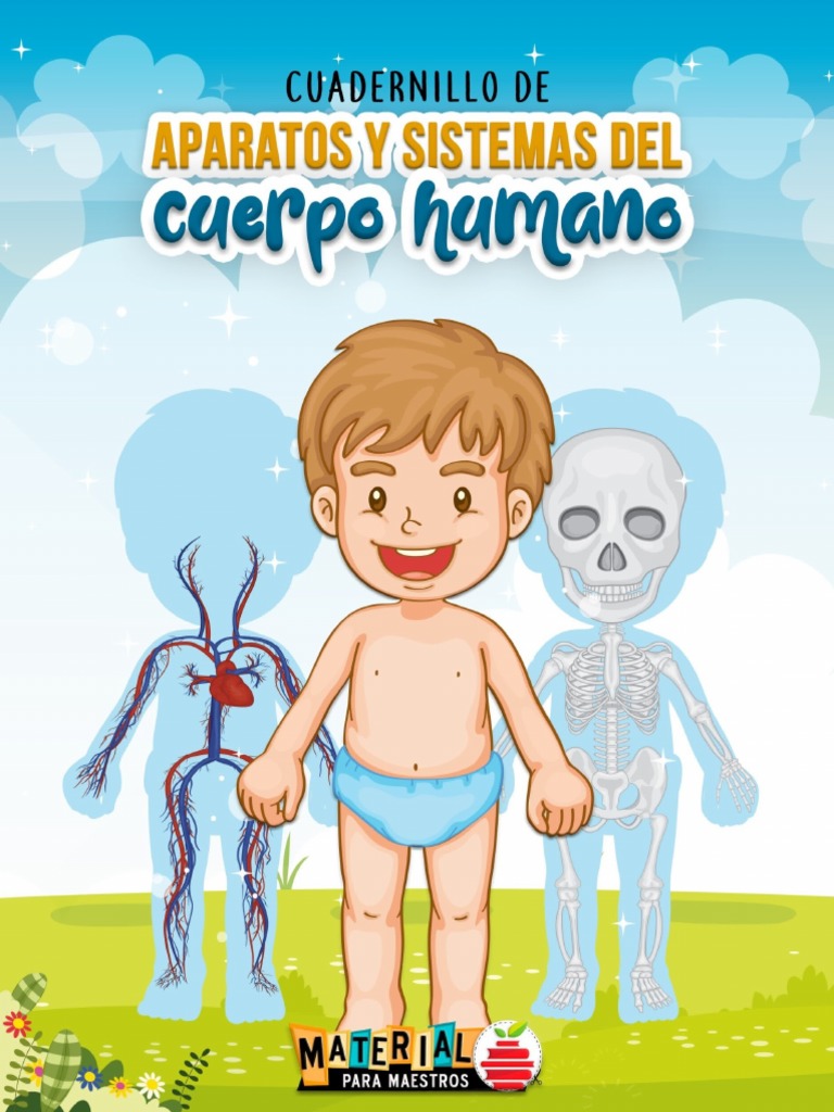 Cuadernillo De Aparatos Y Sistemas Del Cuerpo Humano Anexos Pdf