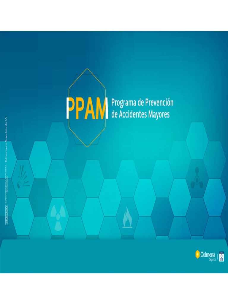 PPAM - Parte 1 | PDF