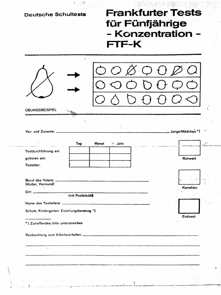 Frankfurter Dikkat Testi | PDF