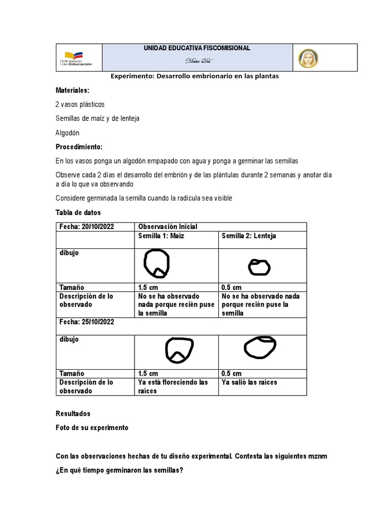 EXPERIMENTO PLANTAS | PDF