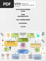Mapa Conceptual Inmunidad | PDF | Linfocitos | Antígeno