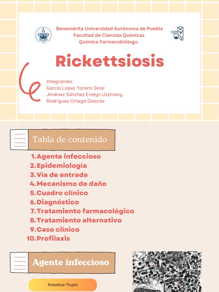Tratamiento y diagnóstico de rickettsiosis | PDF | Especialidades Medicas | Ciencias de la Salud