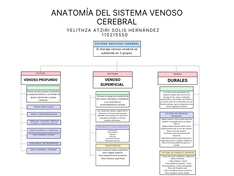 Anatomía Del Sistema Venoso Cerebral: Yelithza Atziri Solis Hernández 1 ...