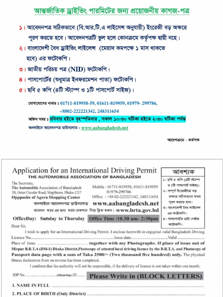 International Driving Licence From | PDF