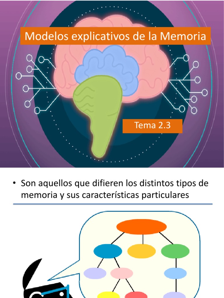 Modelos de Memoria Humana Explicados | PDF