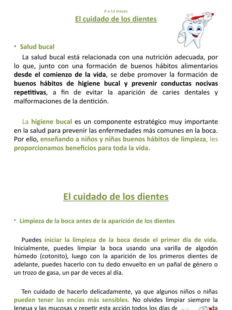 Cuidado dental en bebés: guía esencial | PDF | Higiene oral | Diente