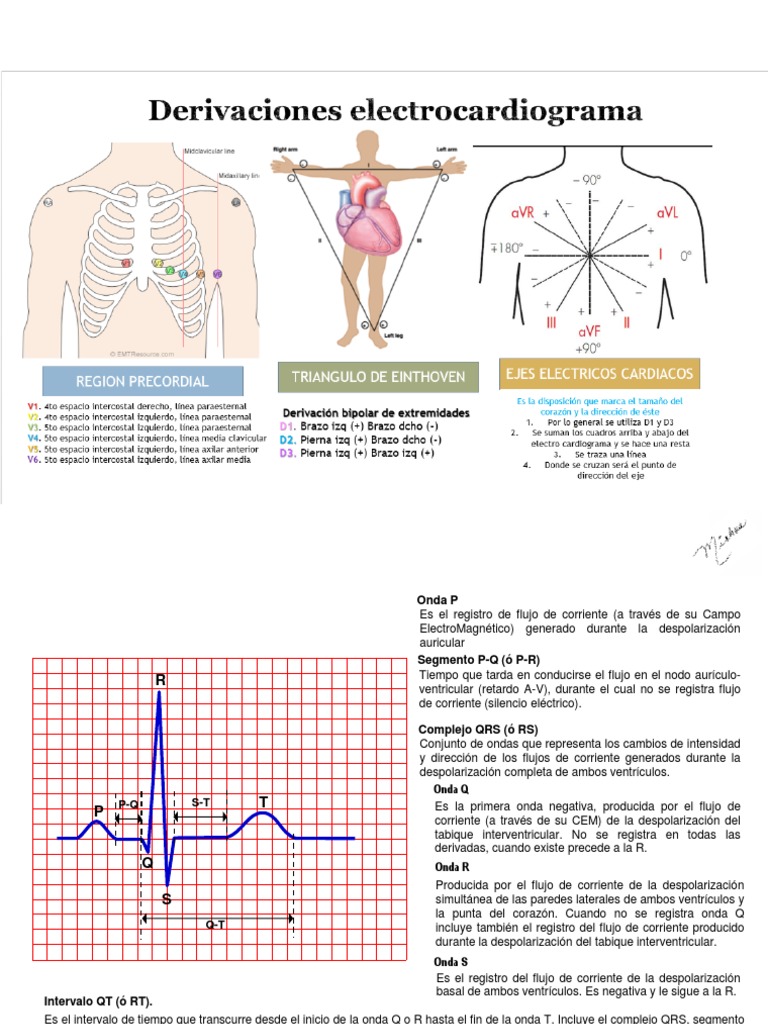 Interpretacion Basica Del ECG | Descargar gratis PDF | Electrocardiografia | Frecuencia