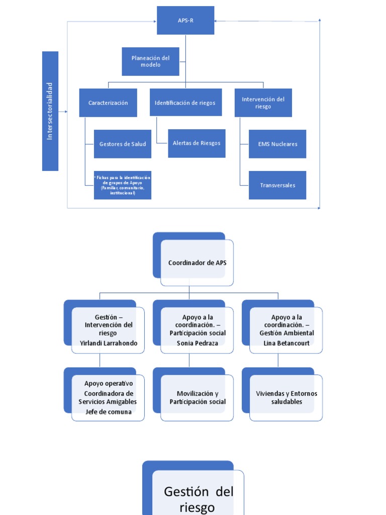 Estructura Operativa de La Estrategia APS - Junio 10 | PDF ...