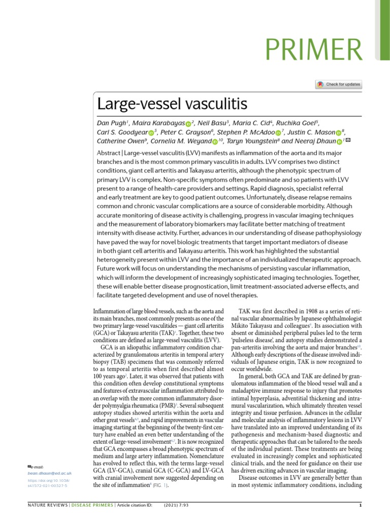 2021 Large Vessel Vasculitis Nature Pdf