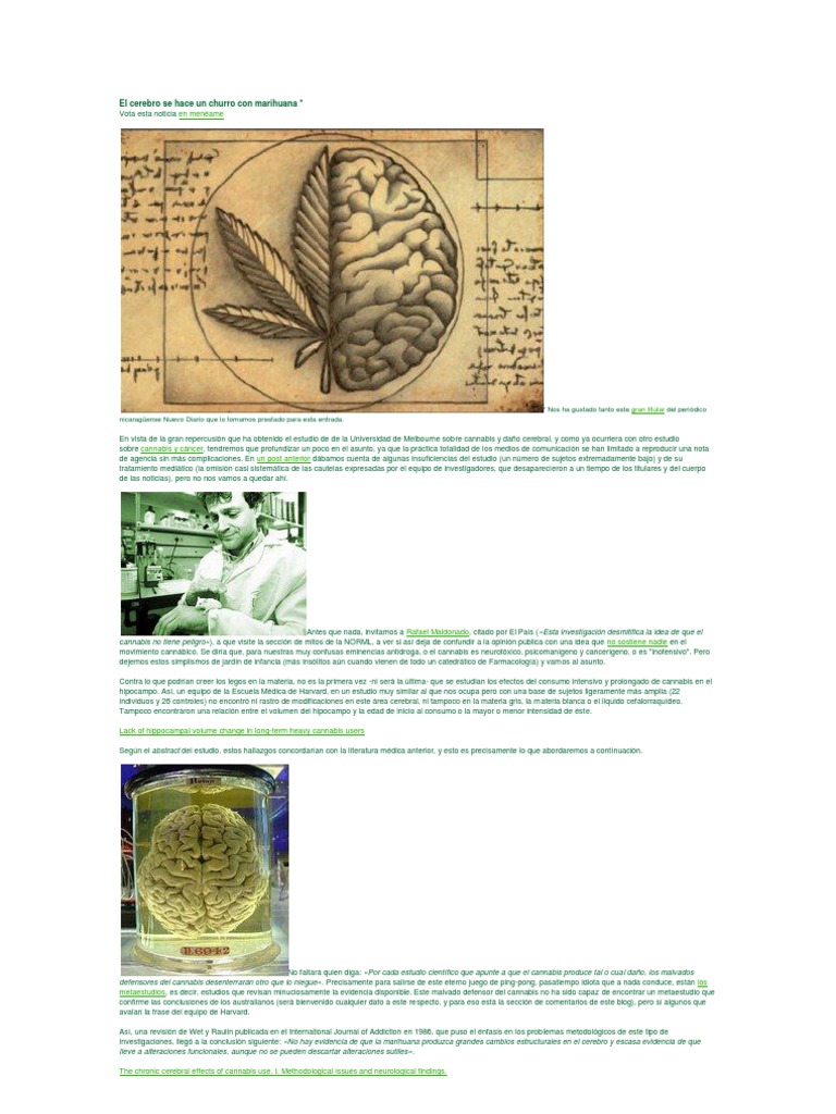 El Cerebro Se Hace Un Churro Con Marihuana Moltes Dades Pdf