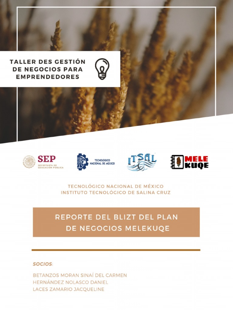 Blitz Del Plan de Negocio | PDF
