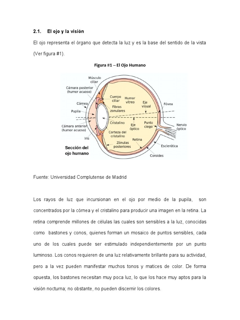La Fatiga Visual | PDF | Ojo humano | Ligero