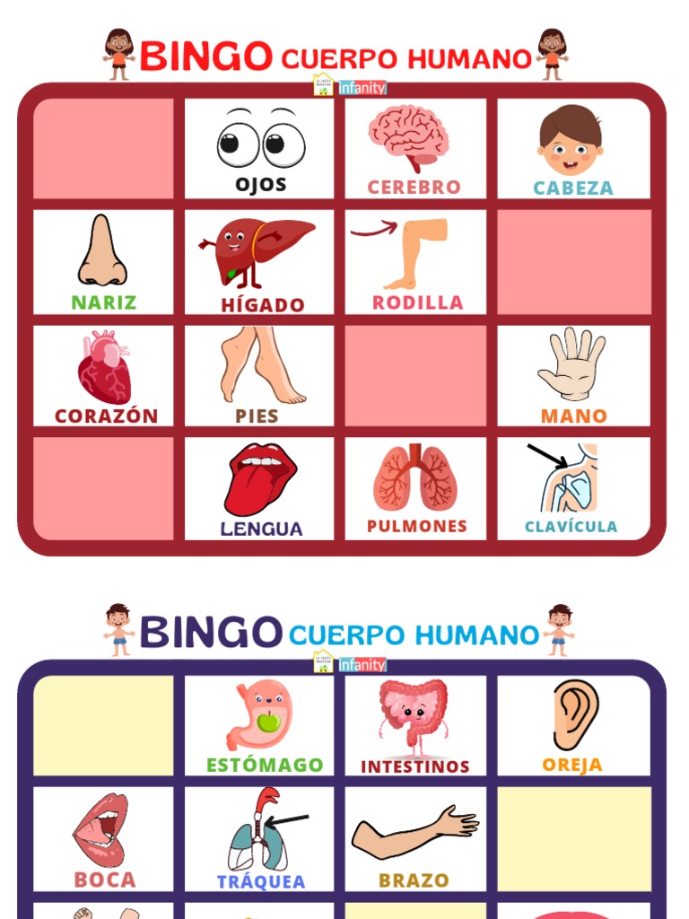 Bingo: Cuerpo Humano | PDF