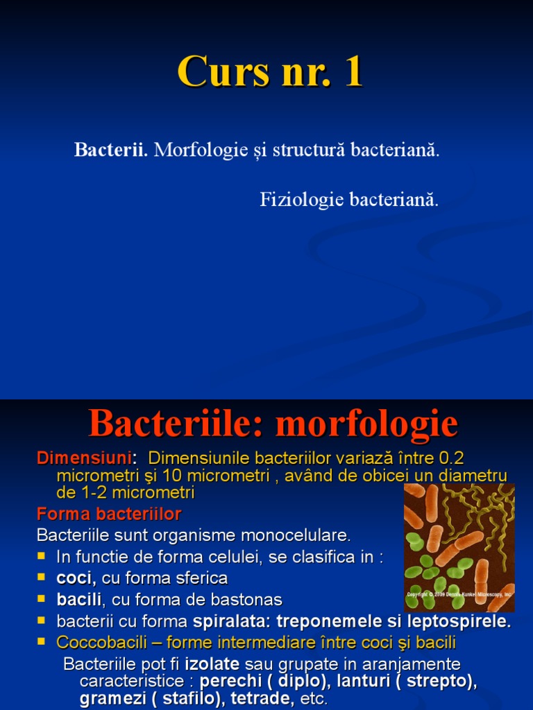 Bacteriologie | PDF