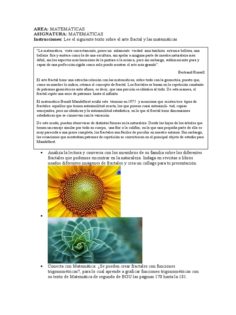 Fractalidad: Arte y Matemáticas en Naturaleza | PDF