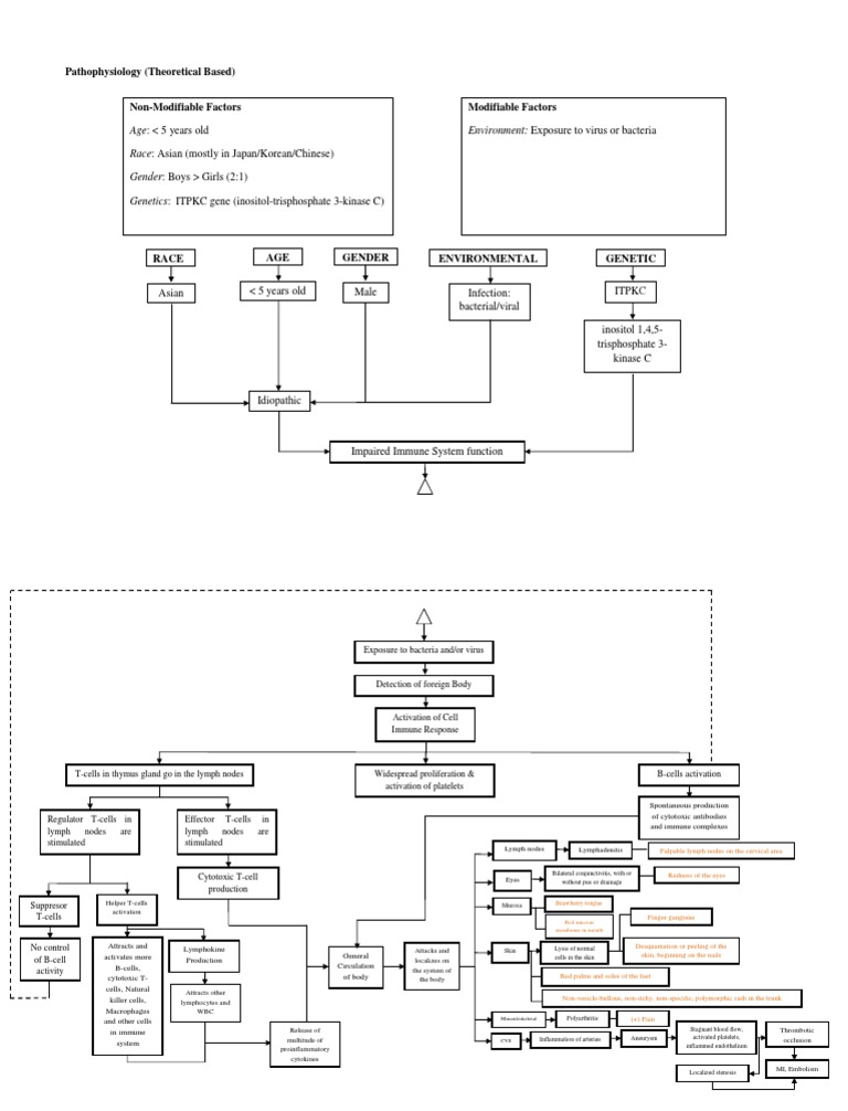 Patho Physiology of Kawasaki Disease | PDF