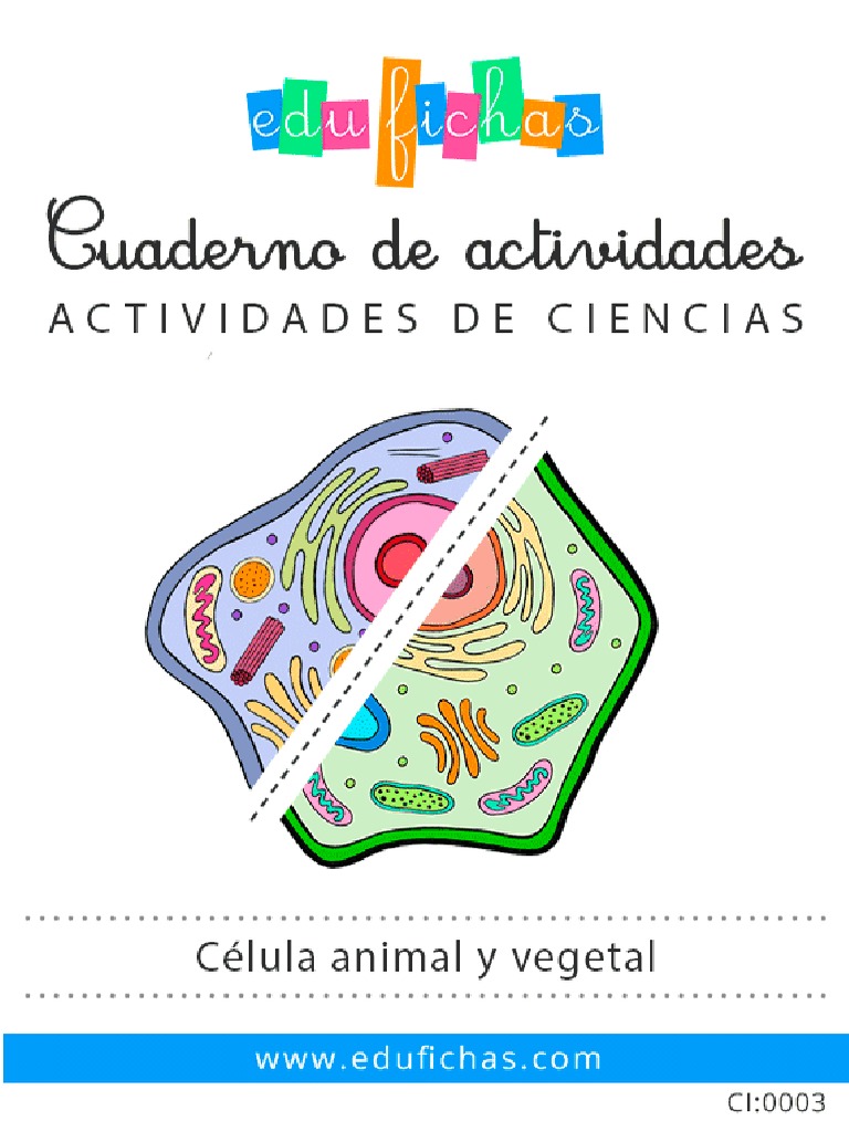 Celula Animal Vegetal Edufichas | PDF