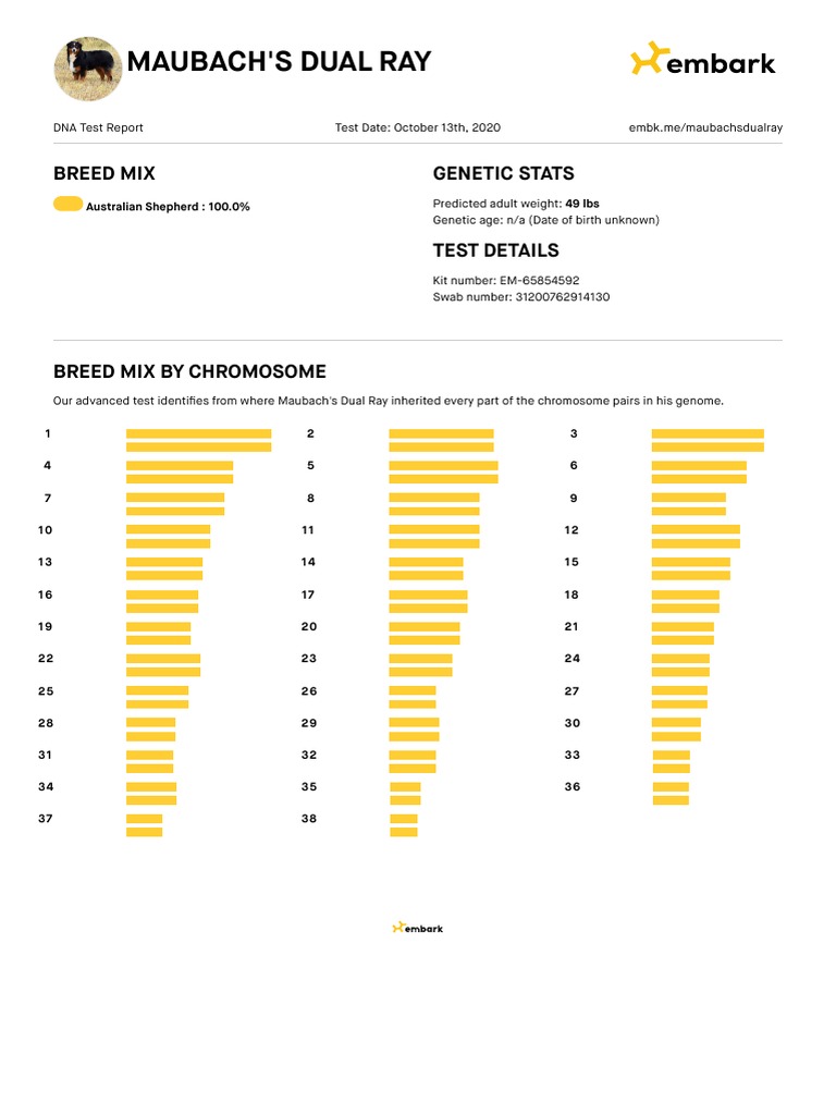 Doolie Embark | PDF | Genotype | Allele