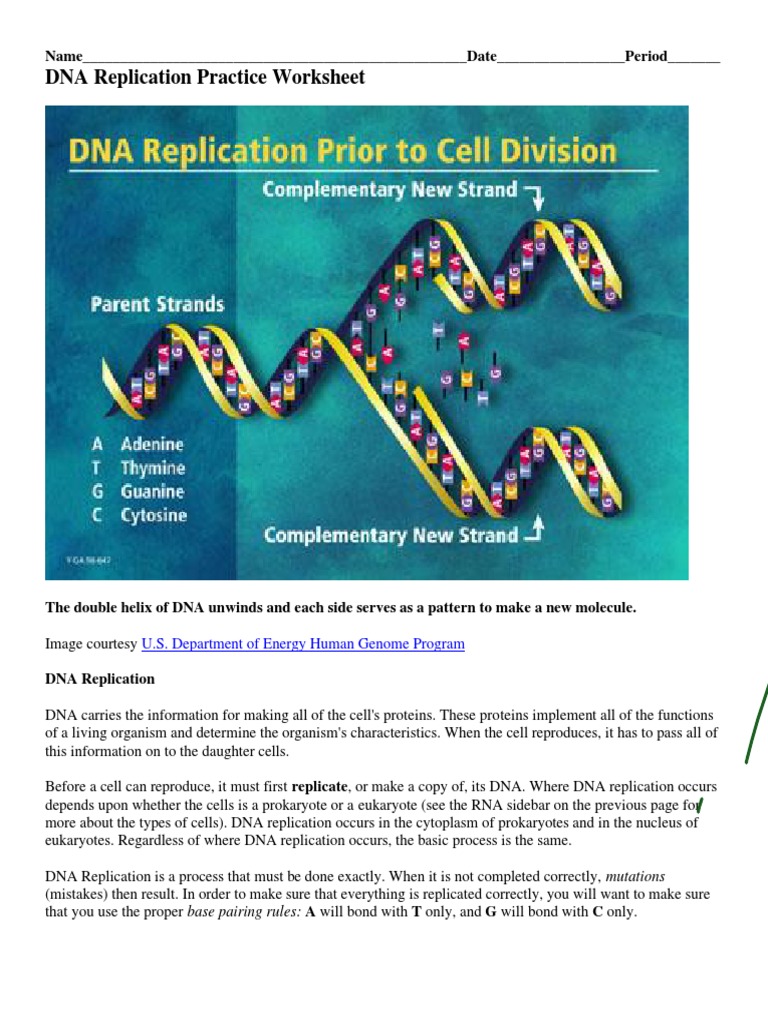 Juan Basabe - DNA Replication 2.pdf - Kami | PDF | Dna Replication ...