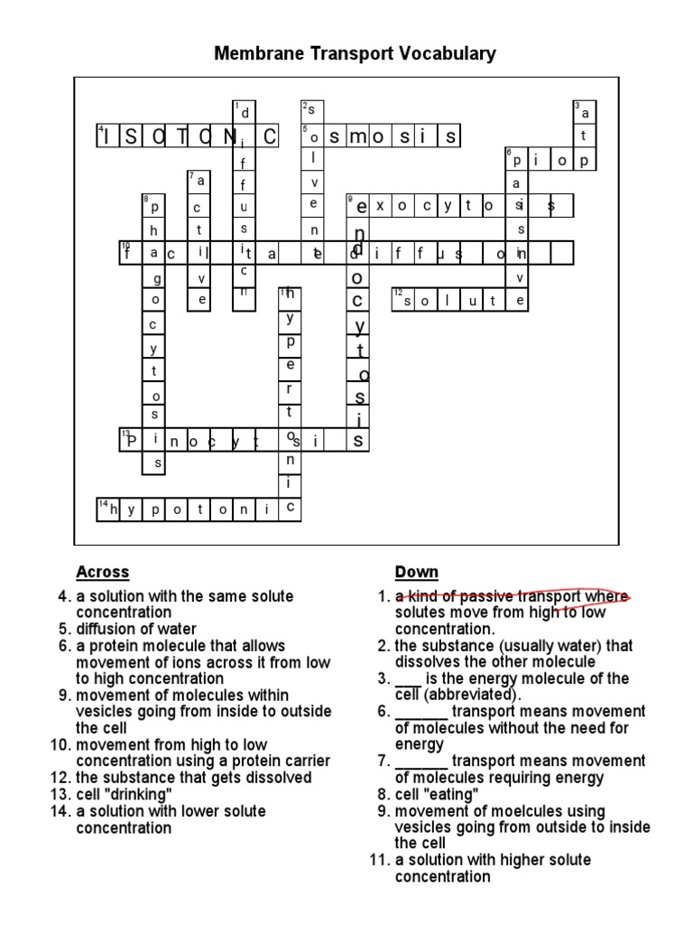 Kami Export - Juan Basabe - WS Membrane Transport - Pdf.kami | PDF ...