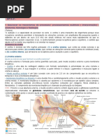 Anatomia da Orelha: Estruturas e Funções | PDF | Orelha | Audição