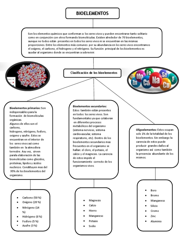 Bioelementos: Clasificación de Los Bioelementos | PDF