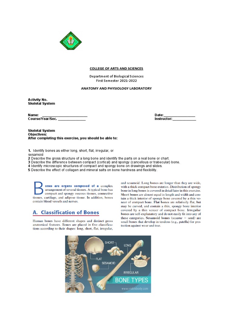 Human Anatomy and Physiology-Skeletal Overview | PDF